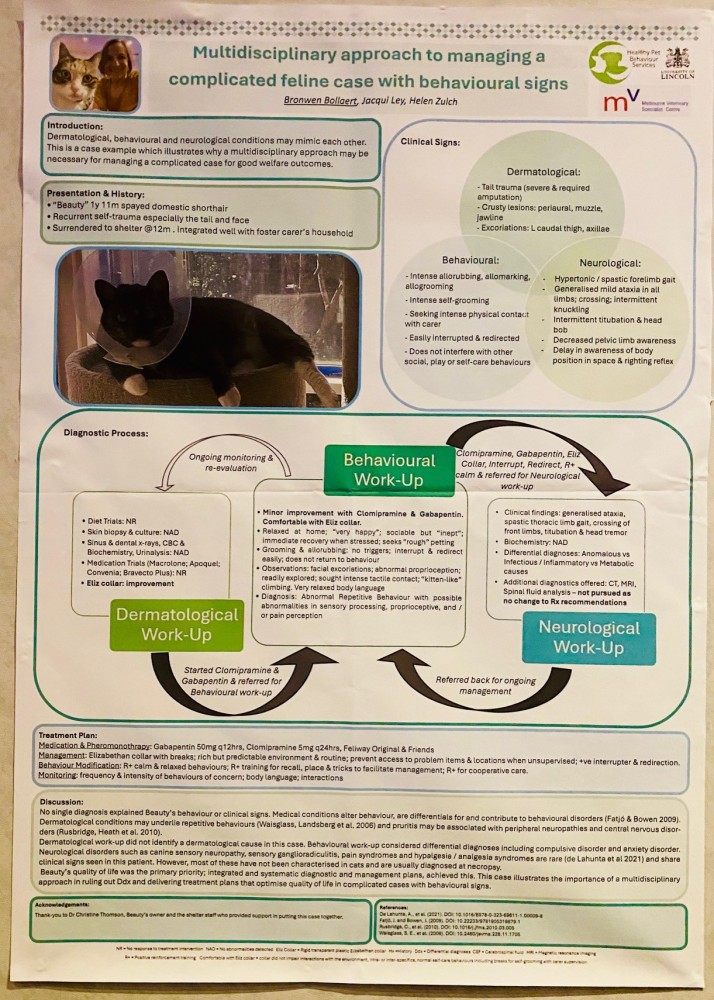 Healthy Pet Behaviour Vet - Info & News